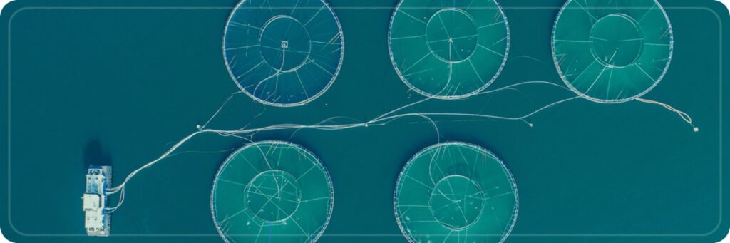 Sustainable Aquaculture: Why It’s The Need Of The Hour