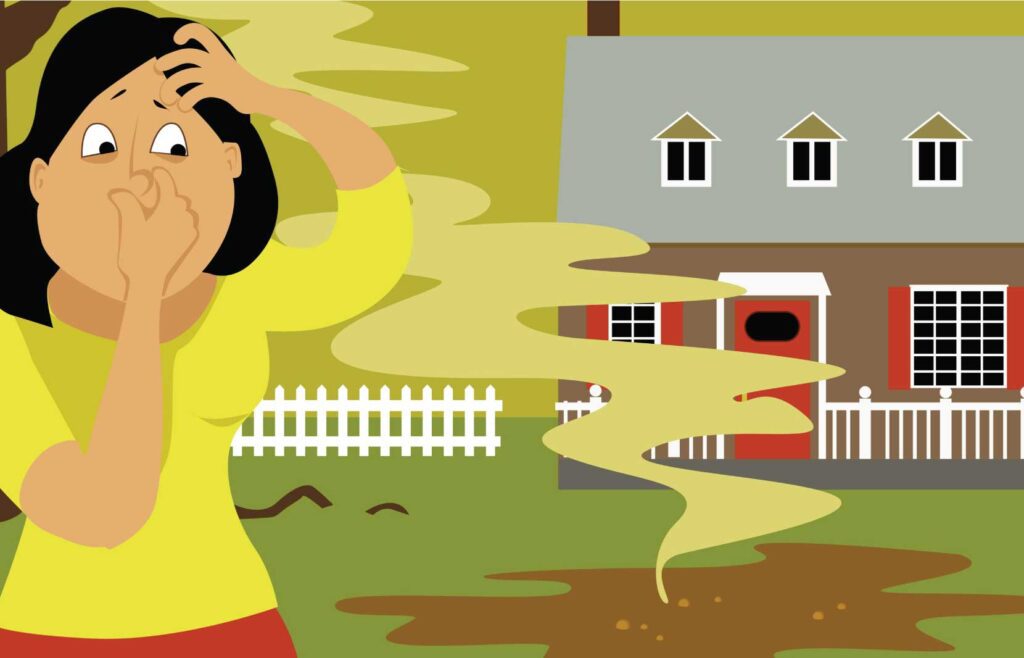 Chemical Cleaners: Destroying Your Septic Tank & Ecosystem