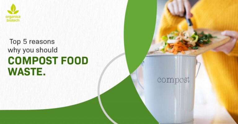 Top 5 Reasons Why You Should Compost Food Waste In 2025