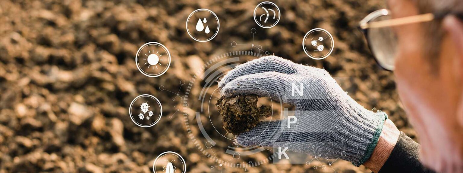 Soil Health Management In Agriculture: 5 Best Ways To Achieve It!