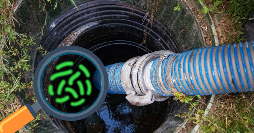 Best Bacteria For Septic Systems & How To Boost Growth